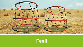 Fenil – Agrogeosystem